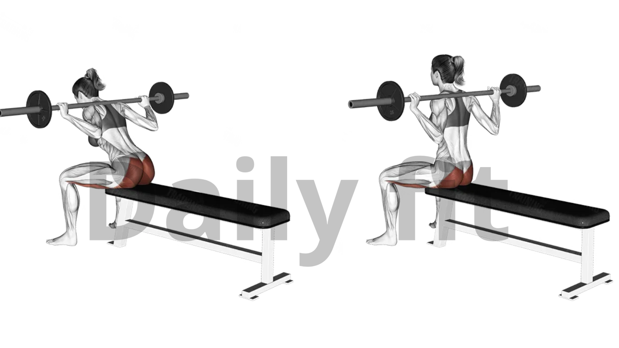 Good Morning en Musculation : Position & Muscles