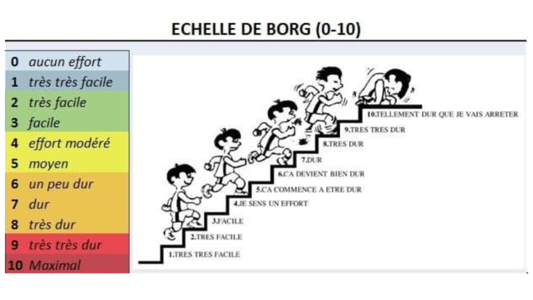 Échelle de Borg : Intensité des Efforts Physiques | 2026