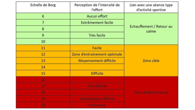 Échelle de Borg : Intensité des Efforts Physiques | 2026