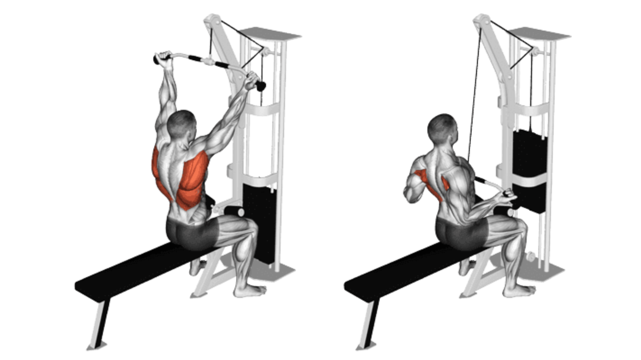 Lat Pulldowns: Entraînements Dos & Variantes